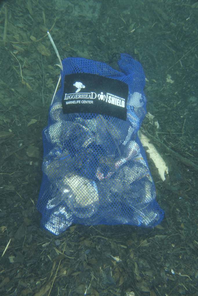 Underwater Cleanup Removes over 310 lbs of Trash for the International ...