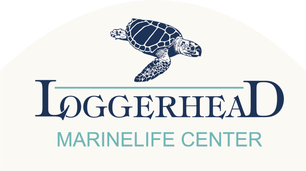 Careers - Loggerhead Marinelife Center