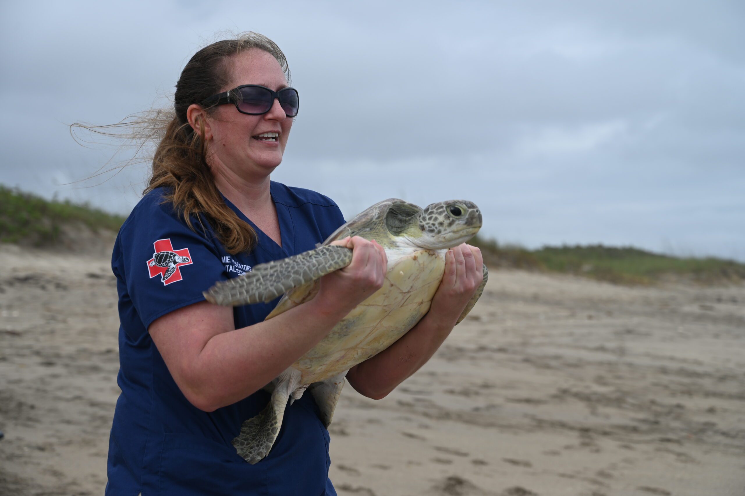 Loggerhead Marinelife Center Staff Hard at Work this Holiday Season ...