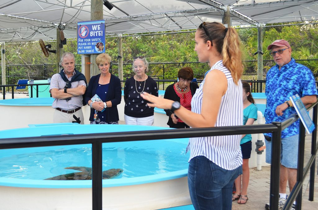Hello Summer! Fun, Local Activities Launch at Loggerhead - Loggerhead ...