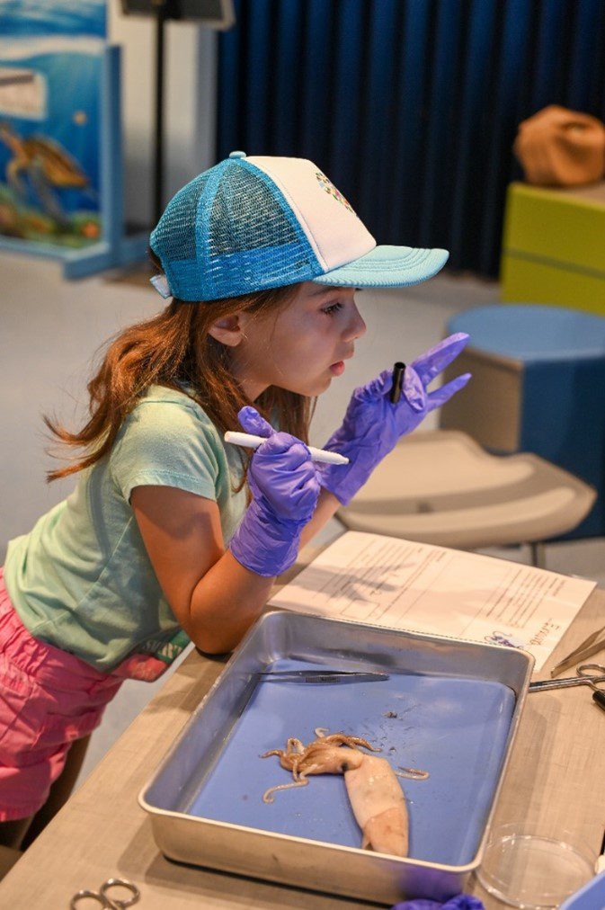 6-12 Experiences - Loggerhead Marinelife Center