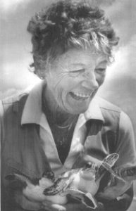 About - Loggerhead Marinelife Center