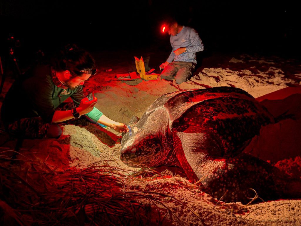 What You Need to Know About Youth Engagement in Marine Conservation ...