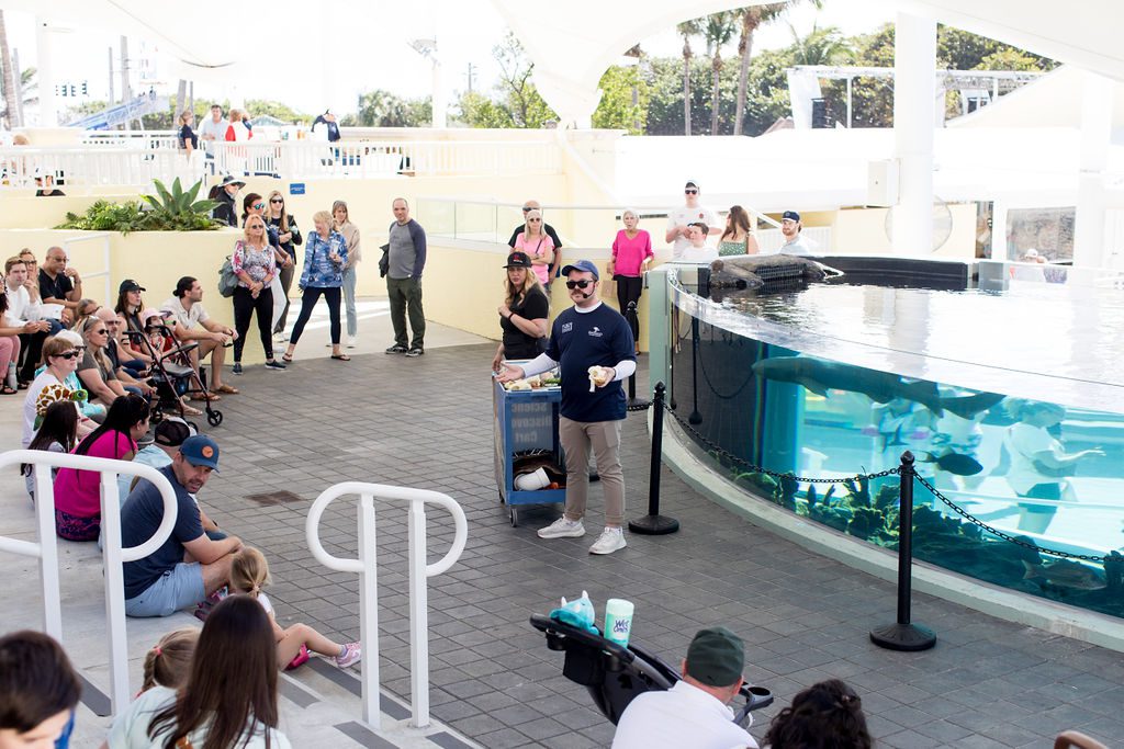 TurtleFest - Loggerhead Marinelife Center