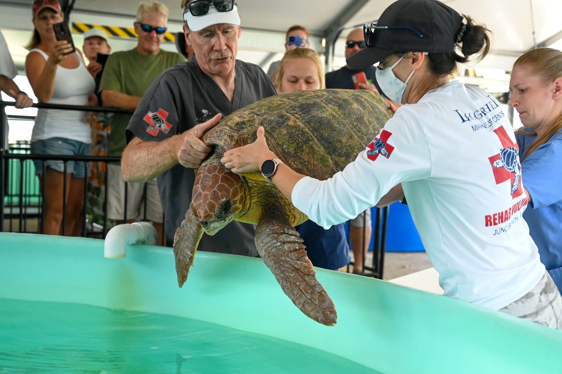 Why Is Marine Conservation Important? - Loggerhead Marinelife Center