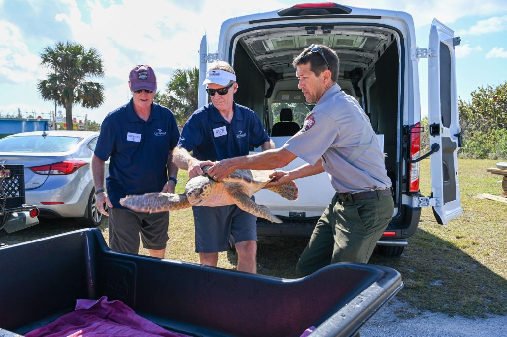 Why Is Marine Conservation Important? - Loggerhead Marinelife Center