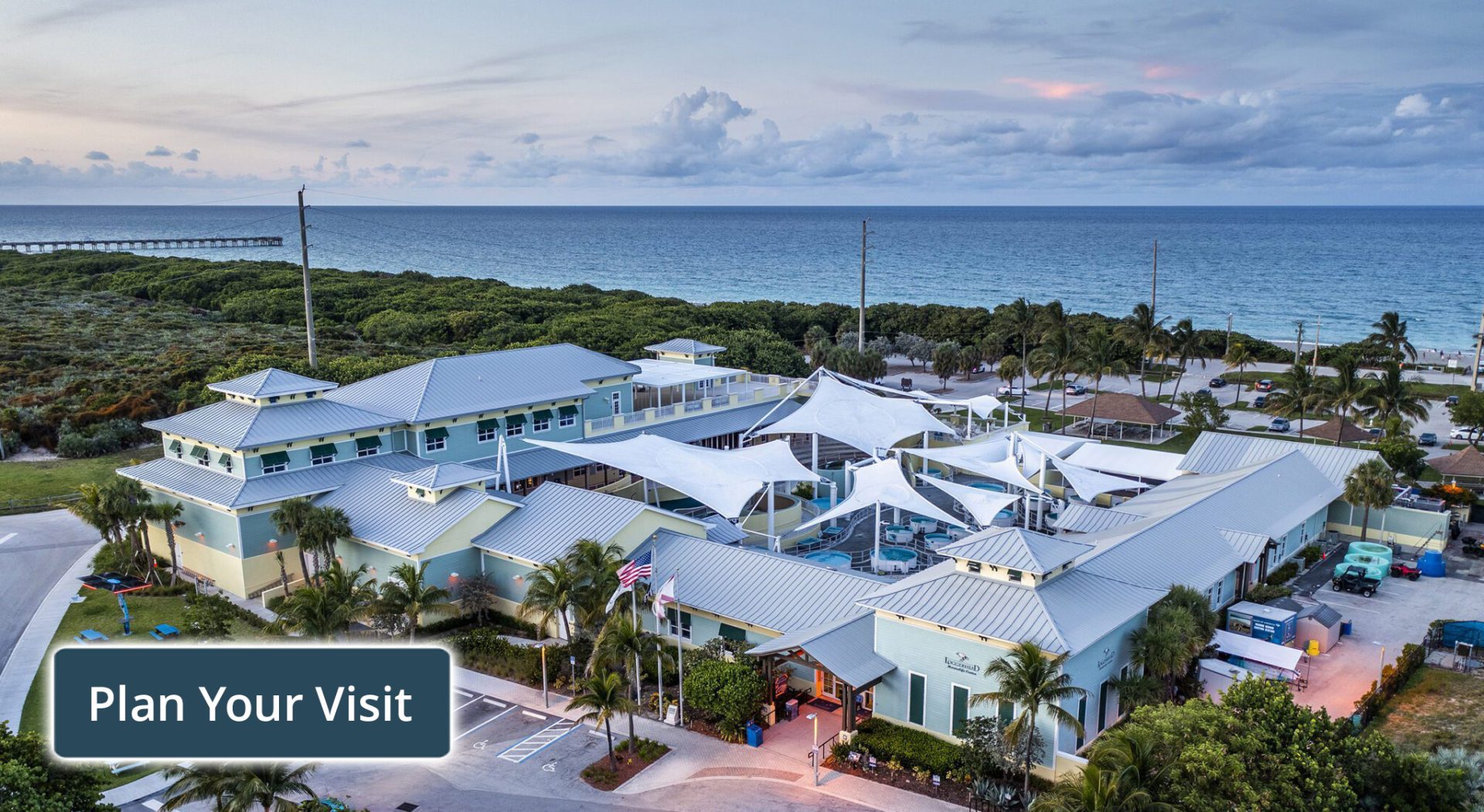 Loggerhead Marinelife Center - Ocean & Sea Turtle Conservation in Juno ...