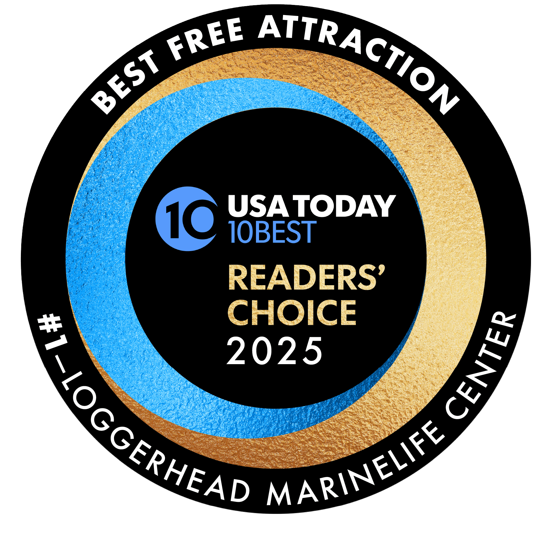 Loggerhead Marinelife Center - Ocean & Sea Turtle Conservation in Juno ...